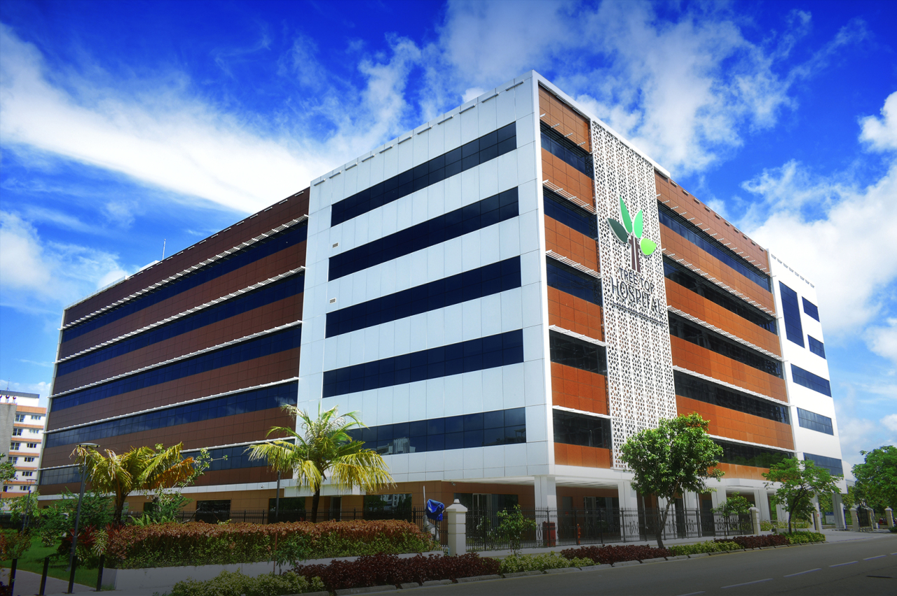Tree Top Hospital