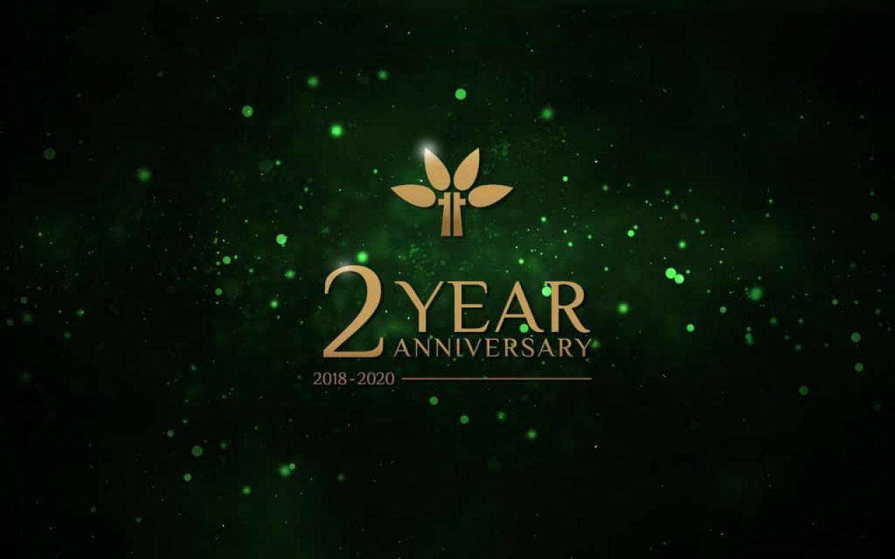 Tree Top Hospital celebrates second year anniversary with a range of ...